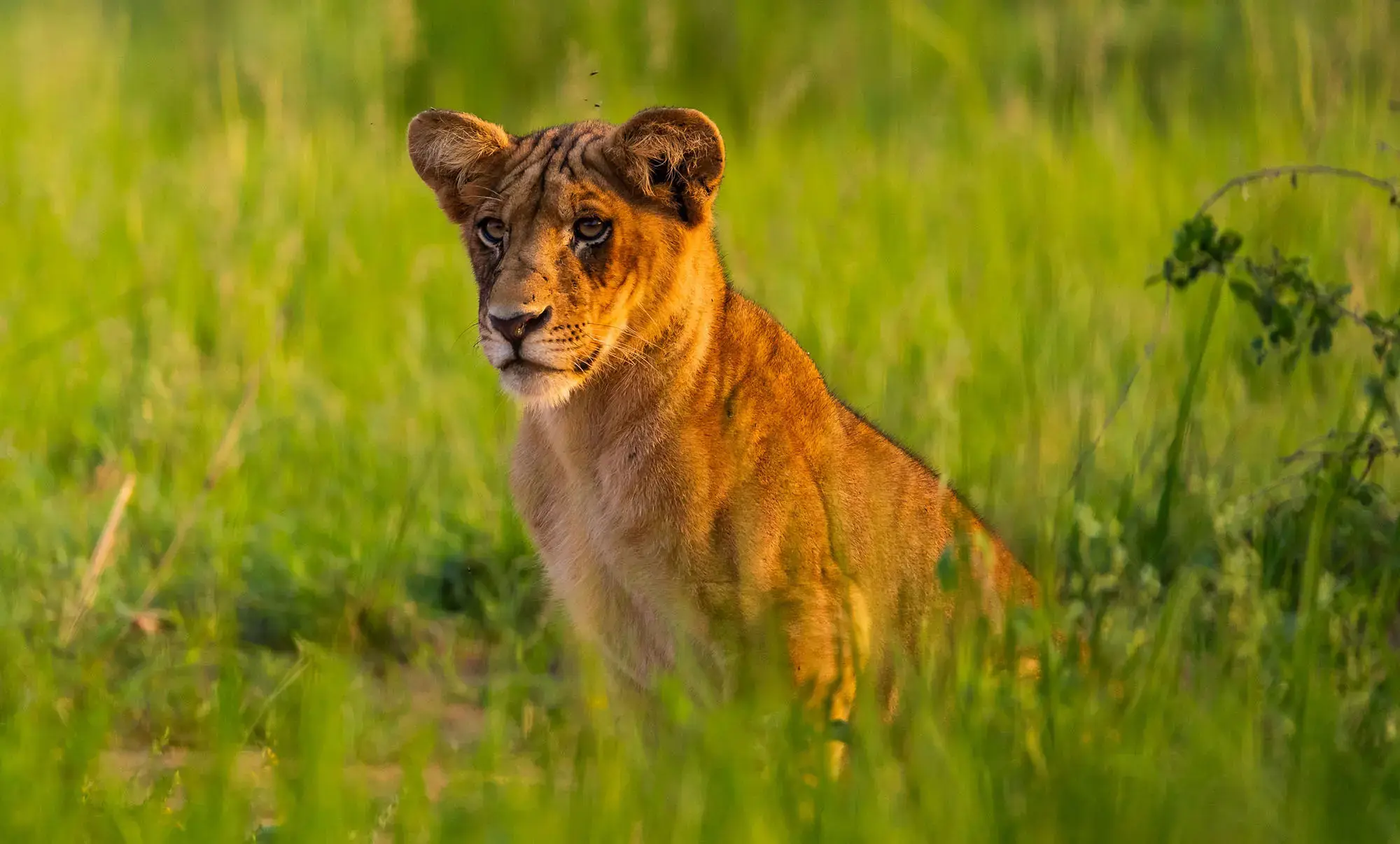 TILENGA PROJECT | TotalEnergies Uganda