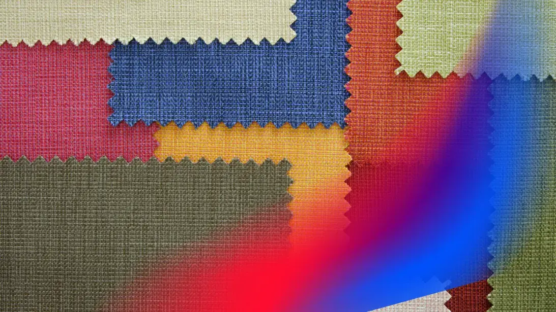 ELF: Une marque de passionnés