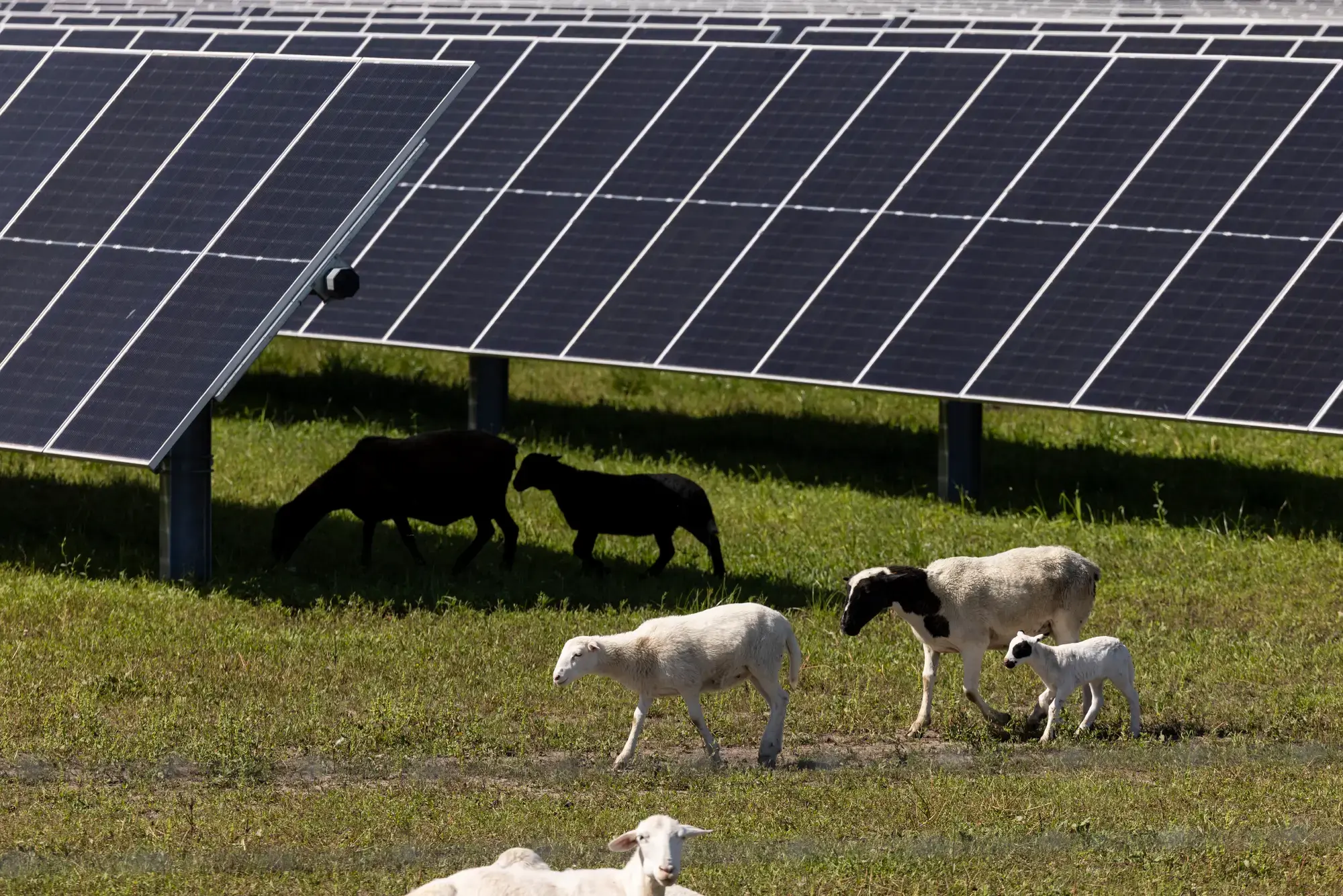 Explore and Produce | TotalEnergies in the U.S.