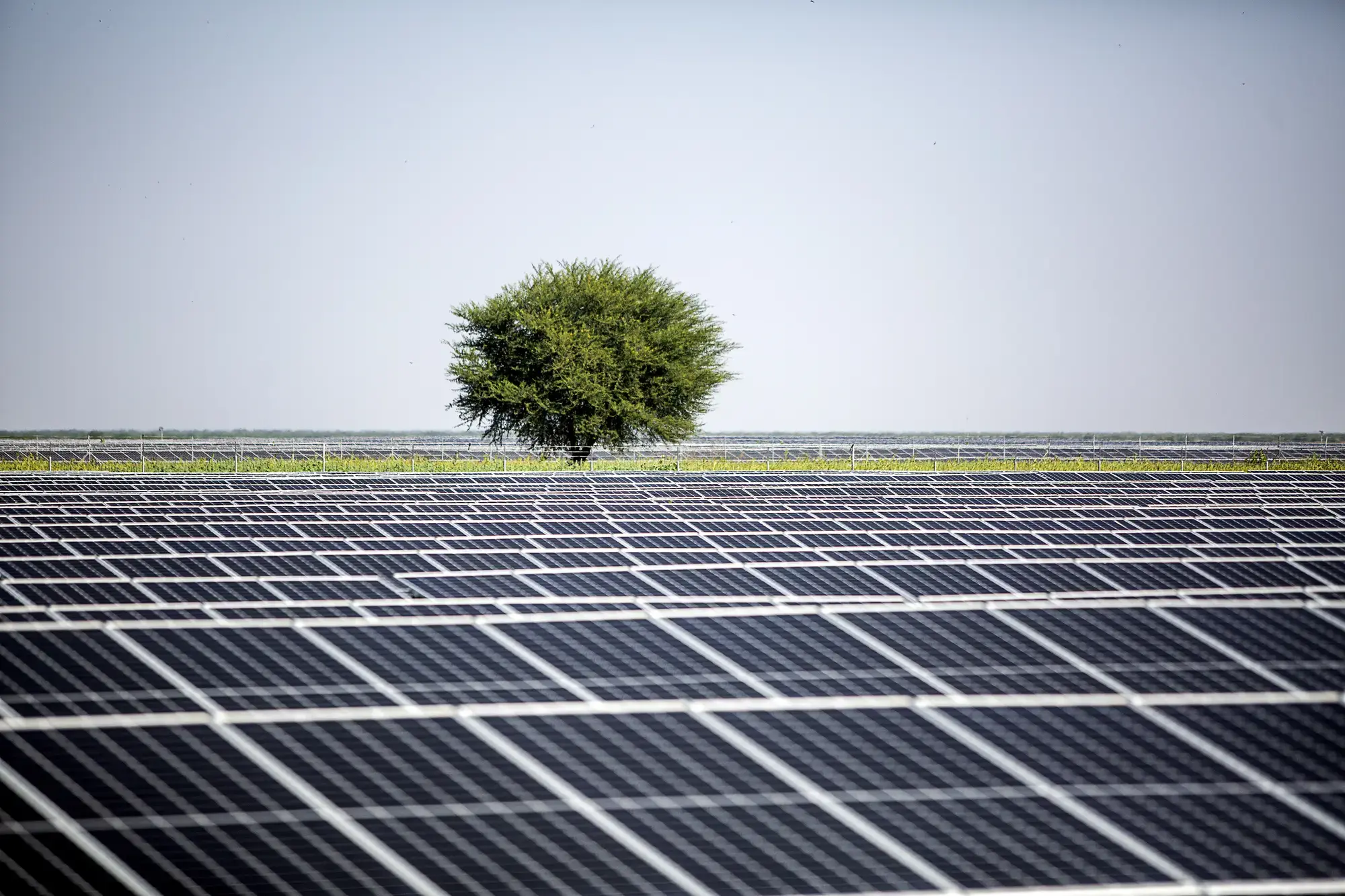 Renewable energies | TotalEnergies Singapore