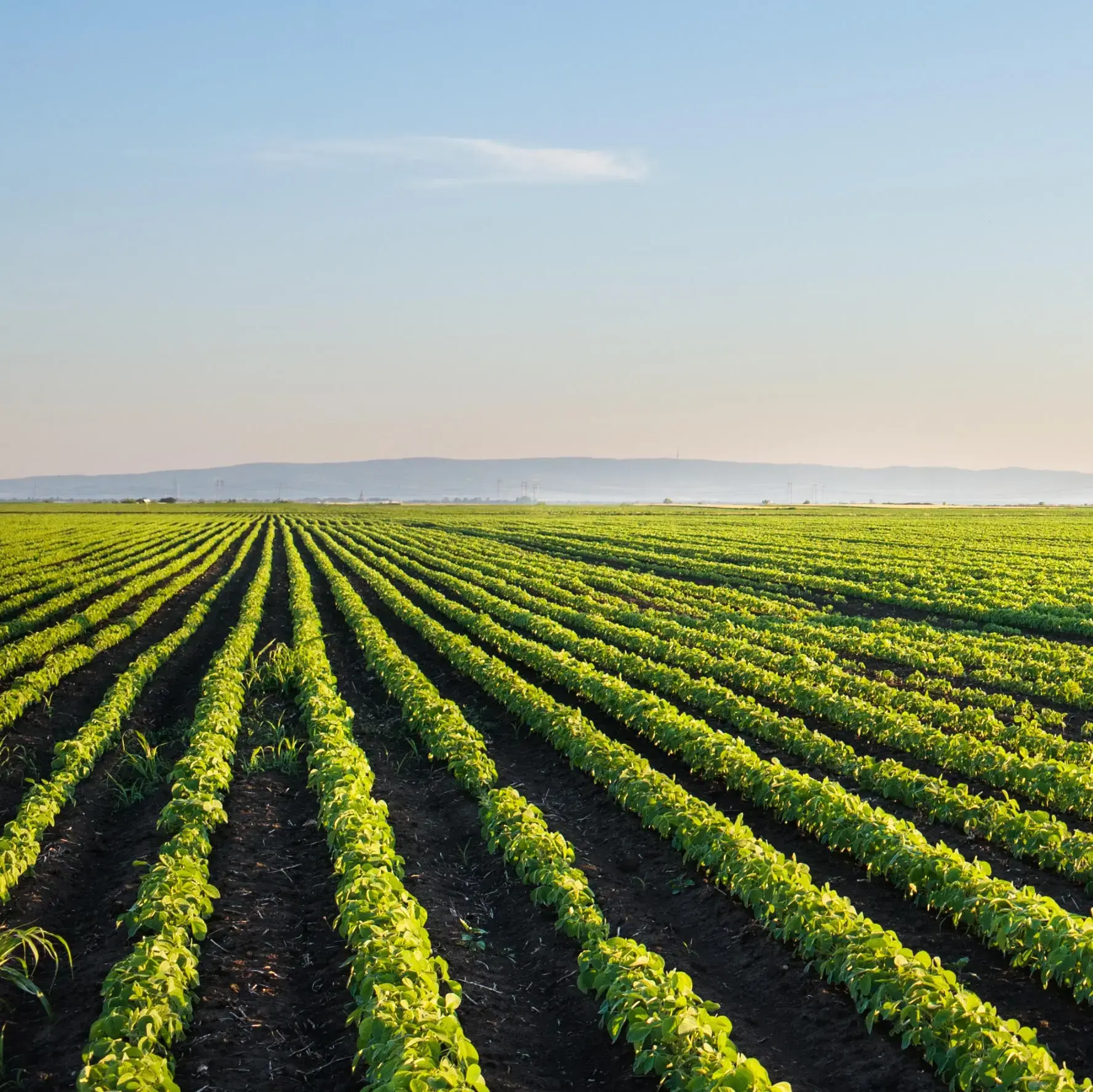 Bio-Based Fuel Ranges | TotalEnergies