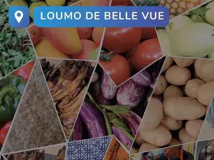 Bienvenue sur le site TotalEnergies Marketing Guinée | TotalEnergies ...